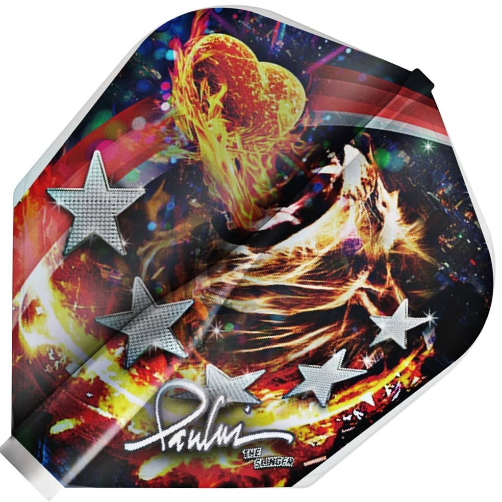 Target - 8 flight - NO6 - Paul Lim - deDartshop.nl